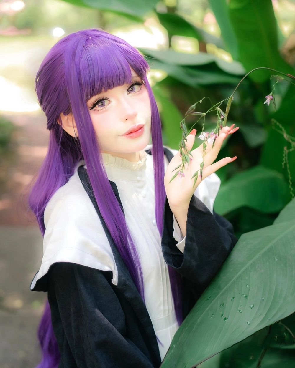 Khã M Phã 100 áº Nh Anime Fern Cosplay Sá Ng ä á Ng Vã áº N Tæ á Ng